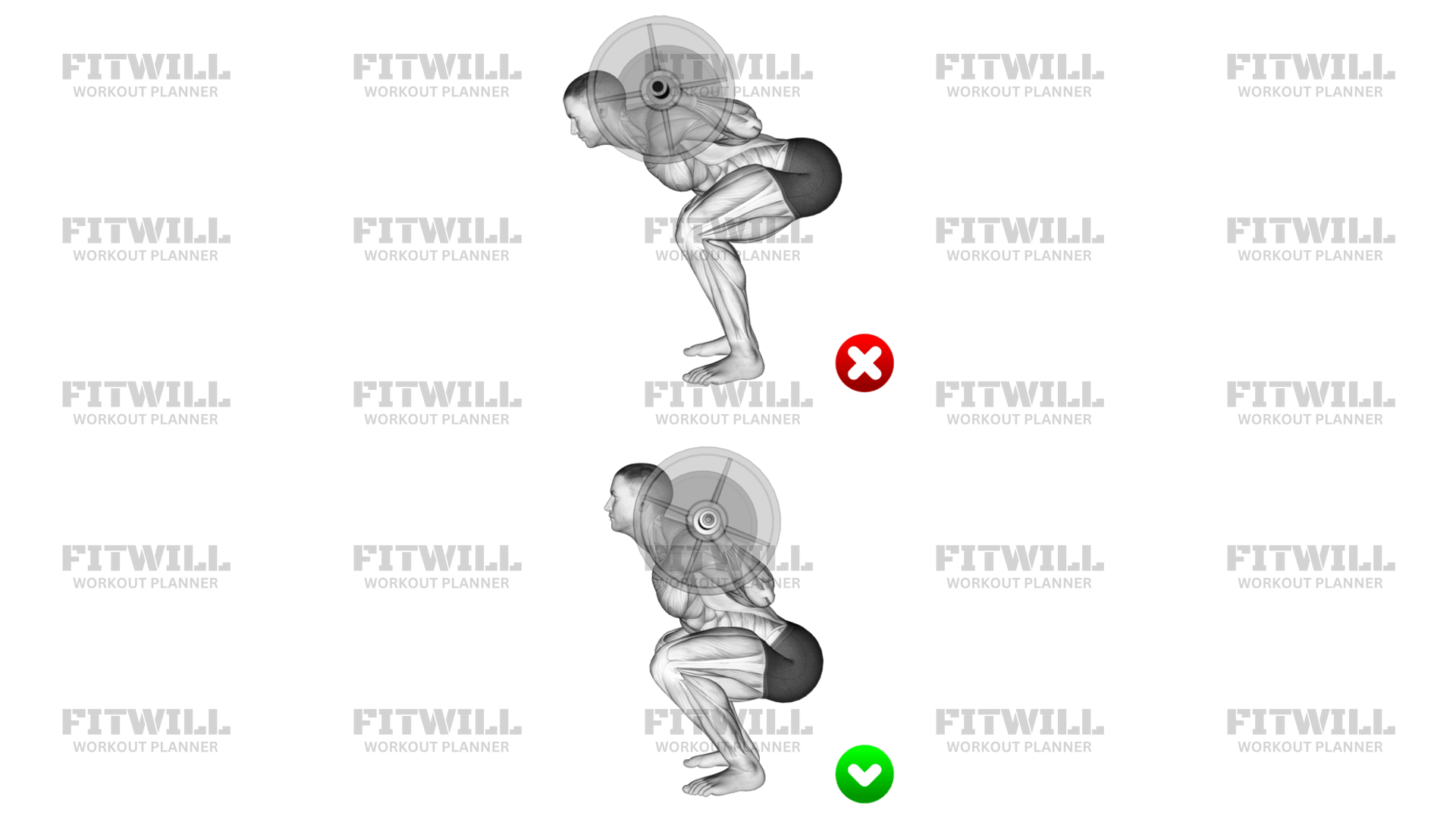 Barbell Squat - Hips (WRONG-RIGHT): Exercise Guide, Techniques ...