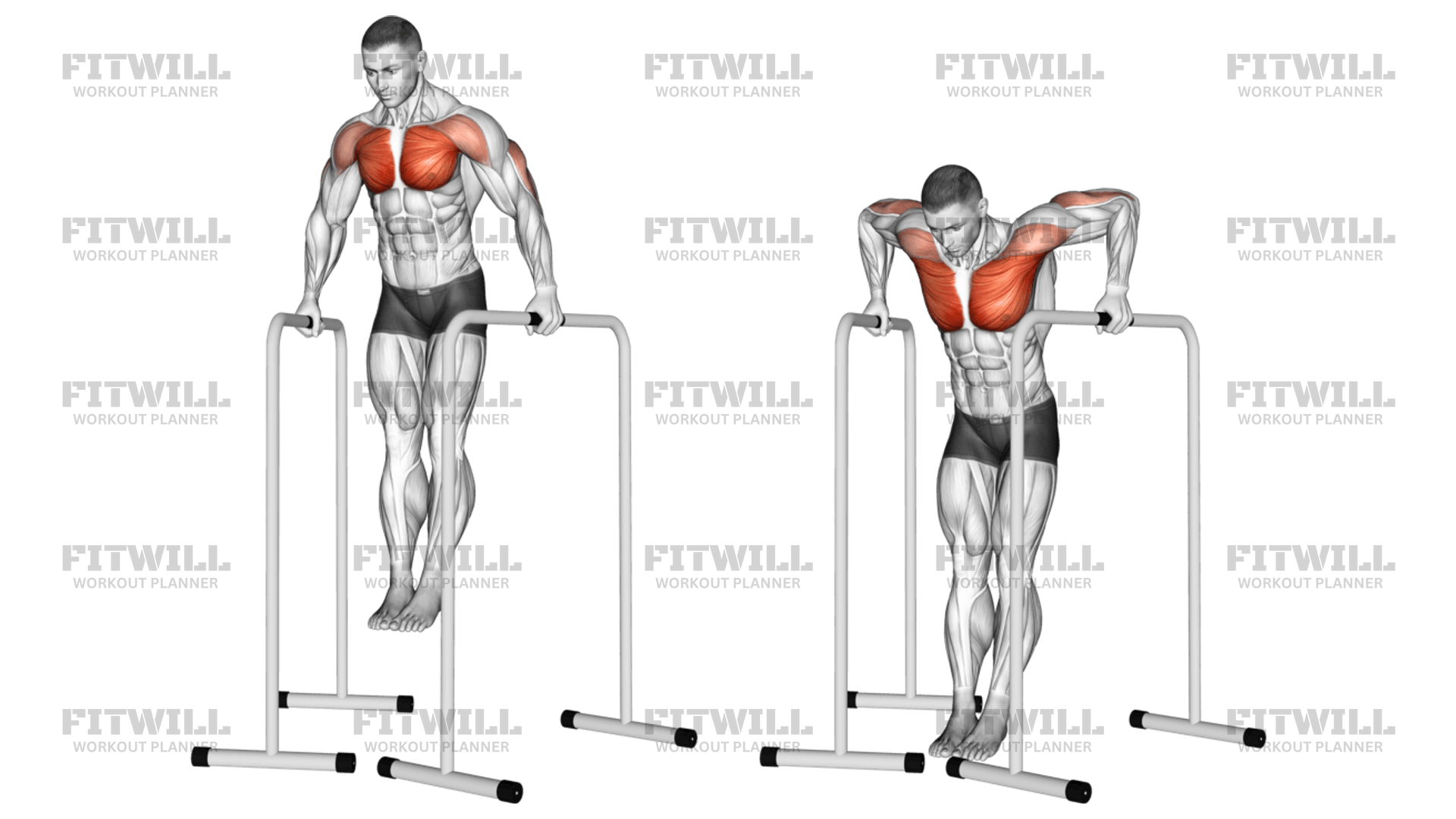 Wide-Grip Chest Dip On High Parallel Bars: Exercise Guide, Video ...