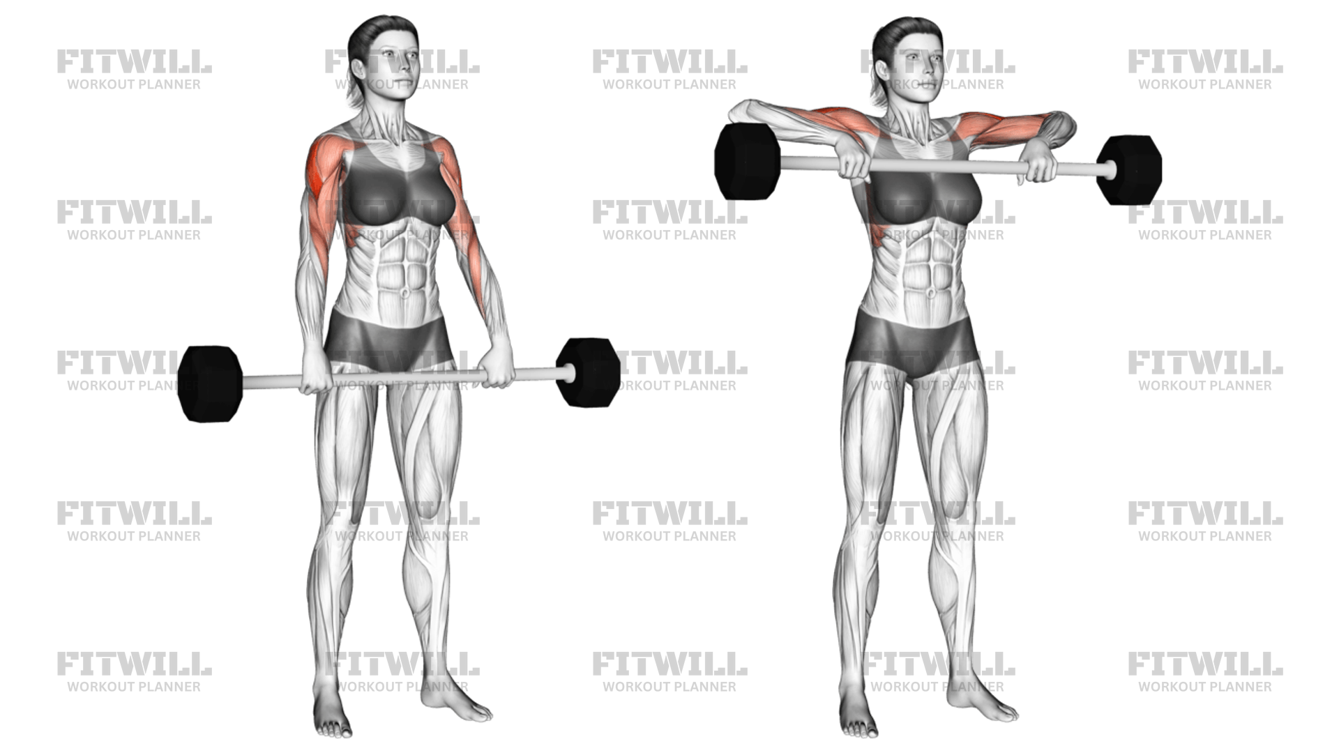Barbell Shoulder Grip Upright Row: Exercise Guide, Video, Techniques ...