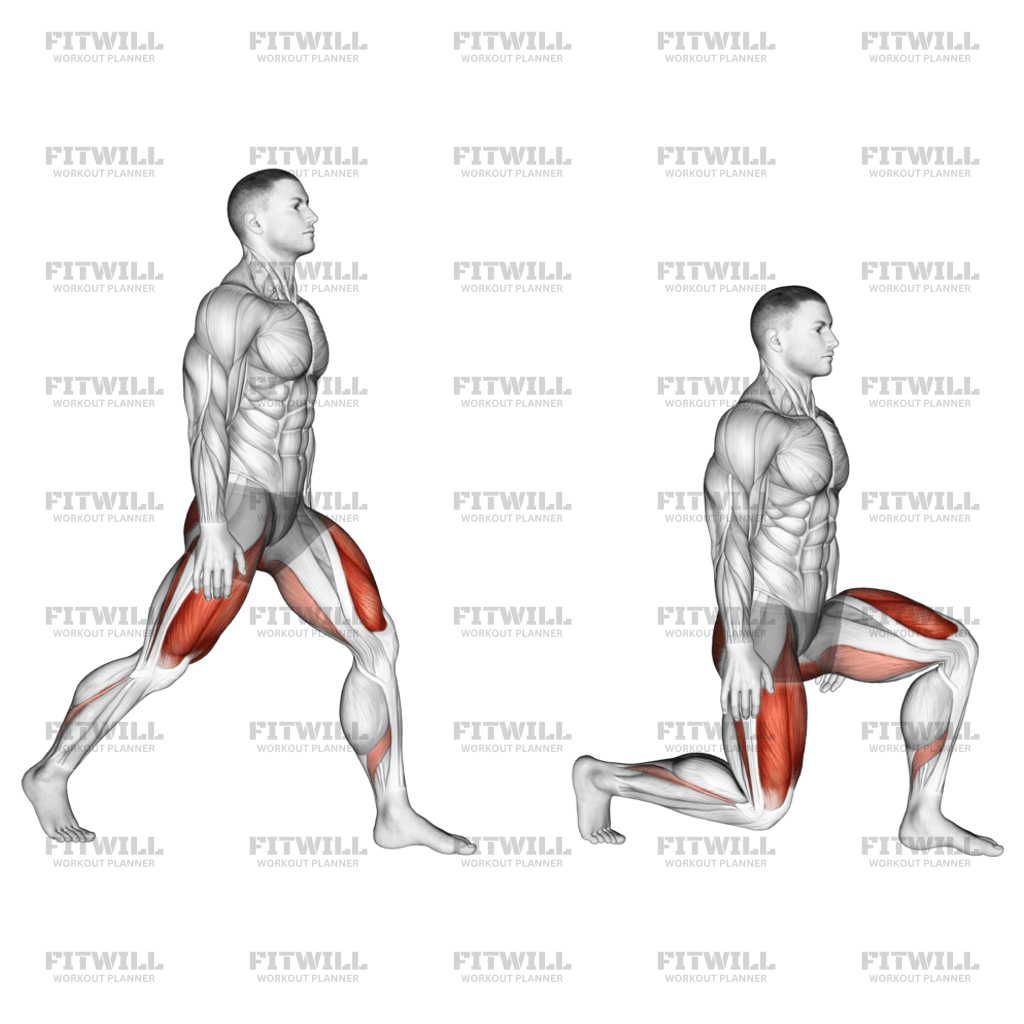 Agachamento Búlgaro: Guia de Exercícios, Vídeo, Técnicas, Benefícios ...