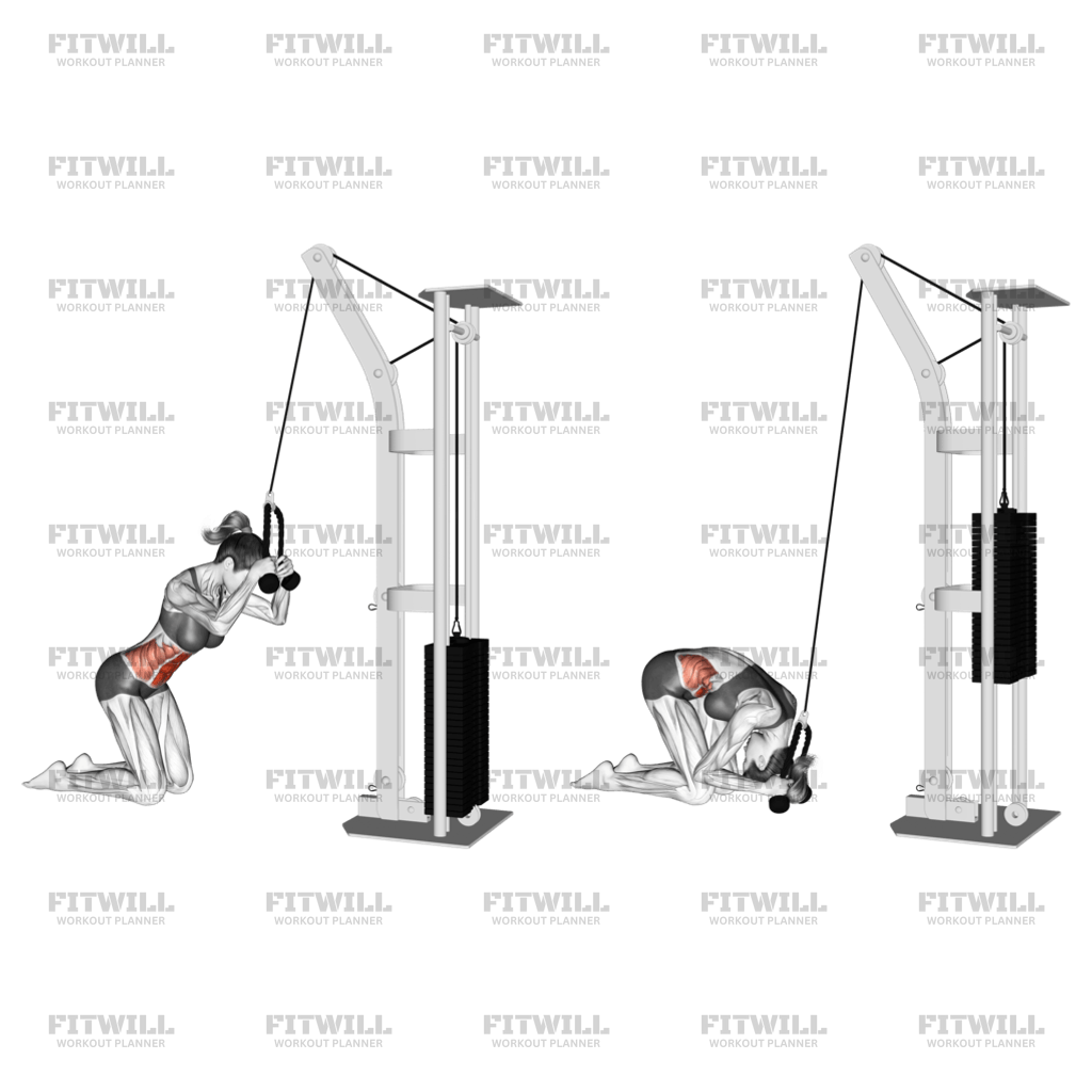 Cable Kneeling Crunch: Exercise Guide, Video, Techniques, Benefits, How ...