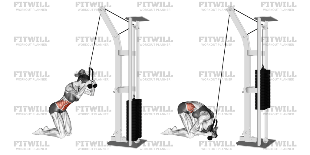 Cable Kneeling Crunch: Exercise Guide, Video, Techniques, Benefits, How ...