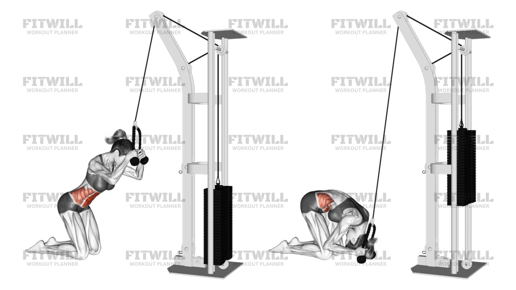 Cable Kneeling Crunch: Exercise Guide, Video, Techniques, Benefits, How ...