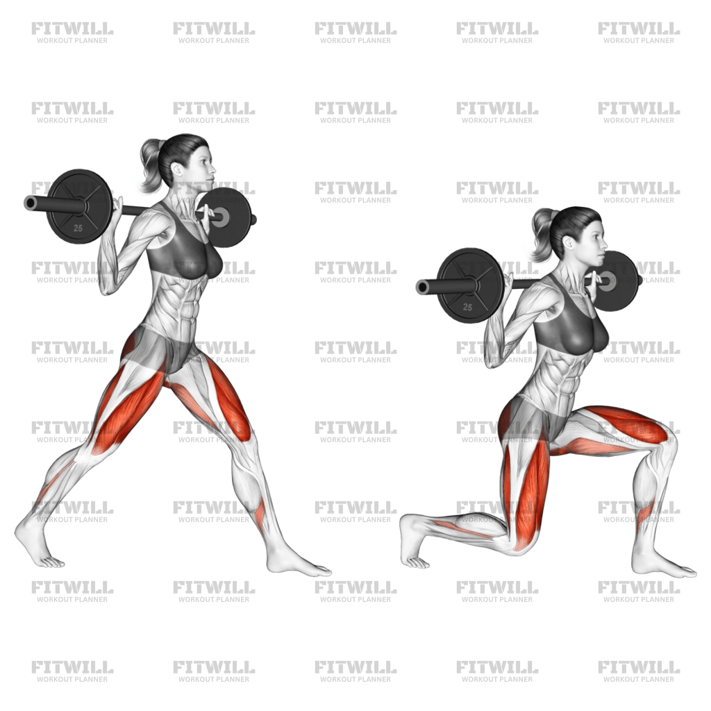 Barbell Split Squat: Exercise Guide, Video, Techniques, Benefits, How to, Muscles Worked, Tips ...