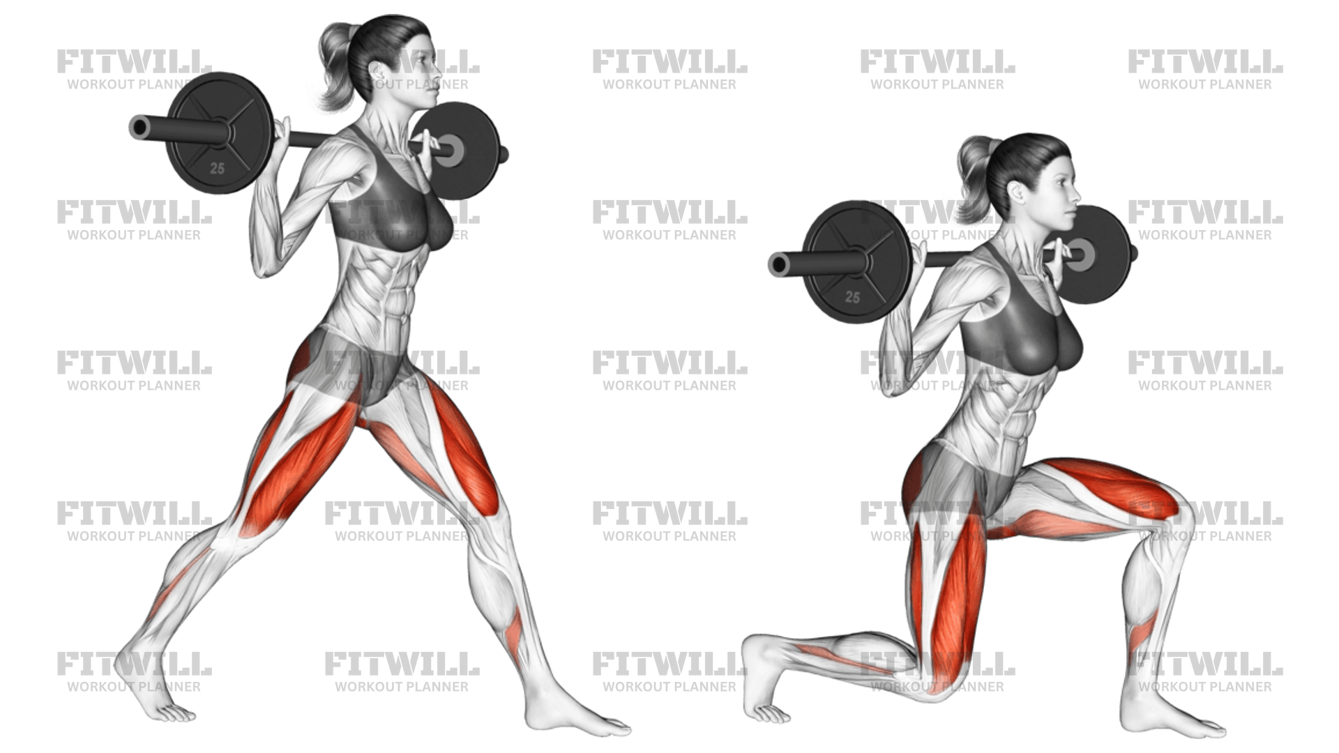 Sentadilla Búlgara Con Barra: Guía de Ejercicios, Video, Técnicas, Beneficios, Cómo Realizarlo ...