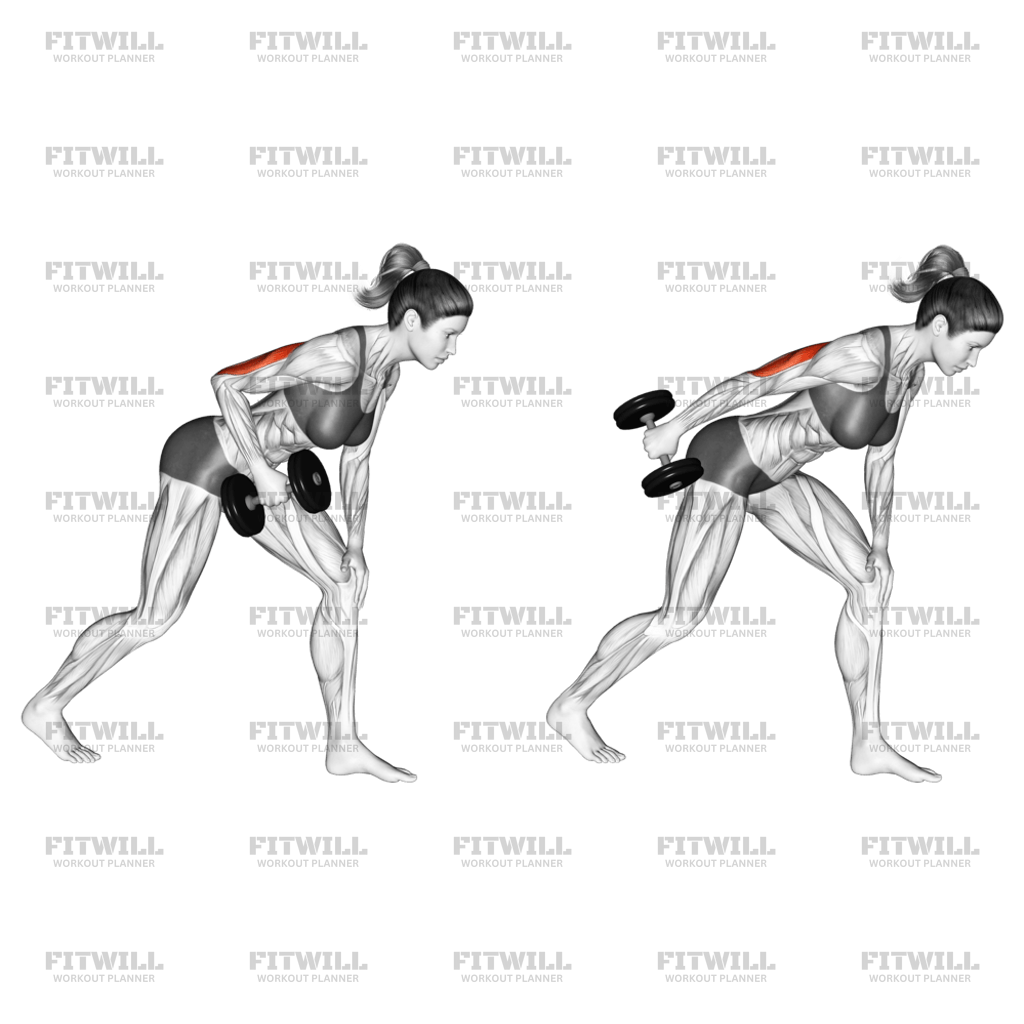 Patada Para Tríceps Con Mancuerna A Un Brazo: Video de Ejercicio | Fitwill