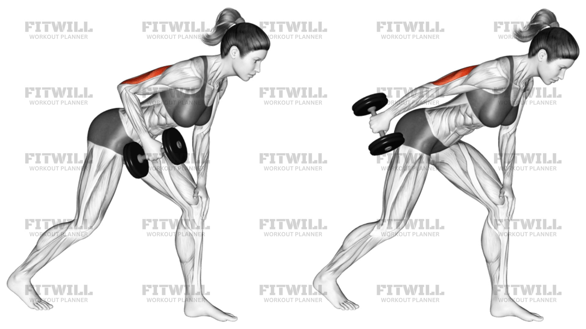 Dumbbell One Arm Kickback: Exercise Guide, Video, Techniques, Benefits ...