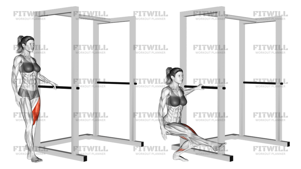 Single Leg Squat With Support: Exercise Guide, Video, Techniques ...