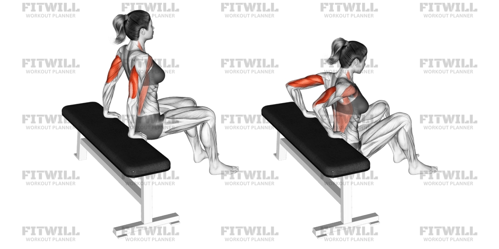 Bench Dip (knees Bent): Exercise Guide, Video, Techniques, Benefits ...