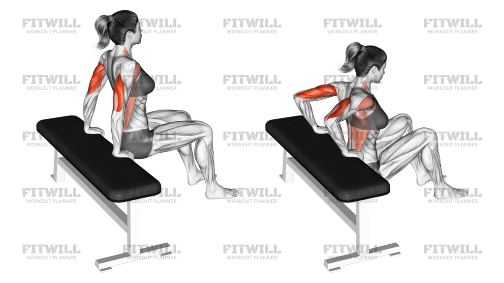 Bench Dip (knees Bent): Exercise Guide, Video, Techniques, Benefits, How to, Muscles Worked ...