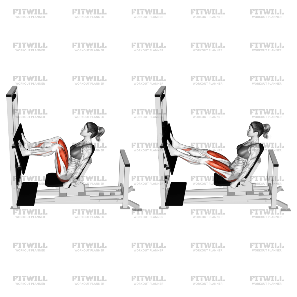 Lever Horizontal Leg Press: Exercise Guide, Techniques, Benefits, How ...