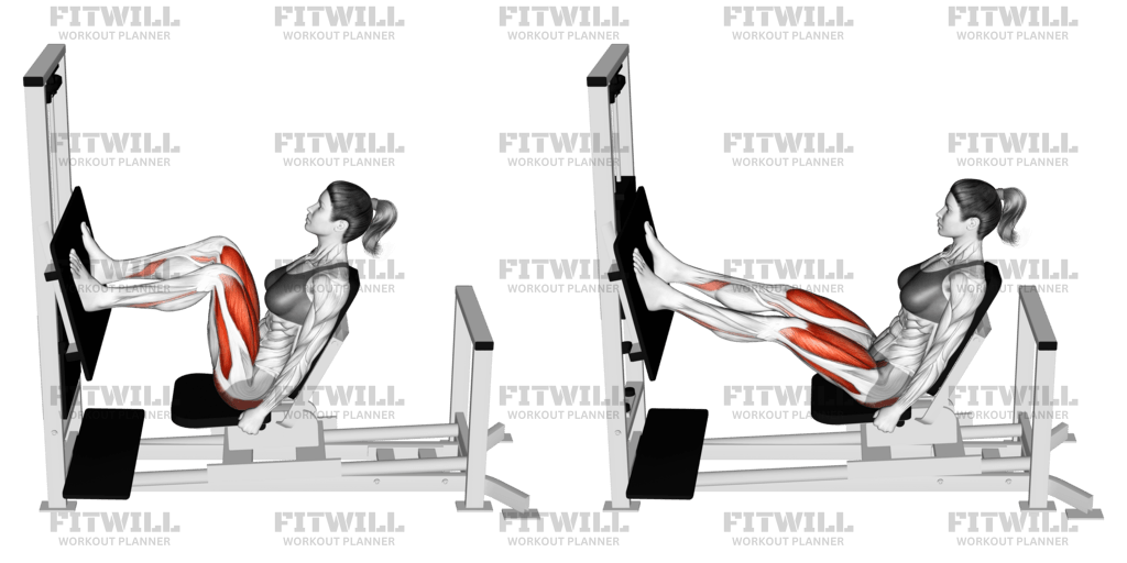 Lever Horizontal Leg Press: Exercise Guide, Techniques, Benefits, How ...