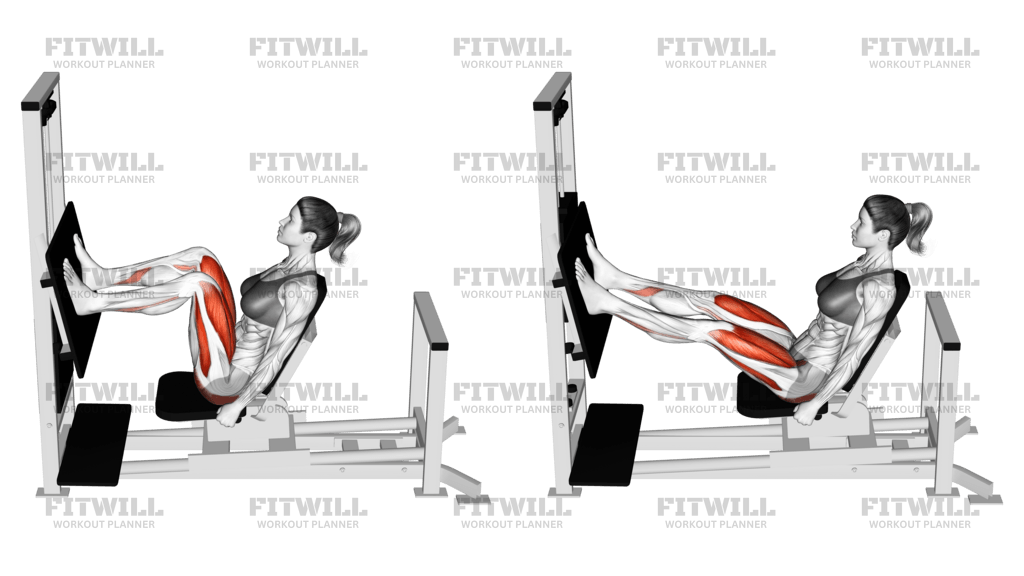 Lever Horizontal Leg Press: Exercise Guide, Techniques, Benefits, How ...
