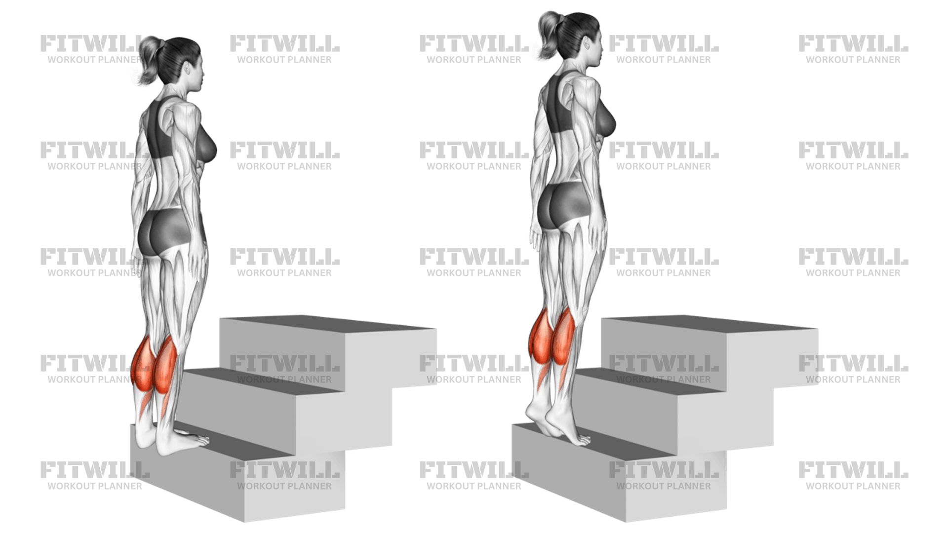 Standing Calf Raise (On A Staircase): Exercise Guide, Techniques ...