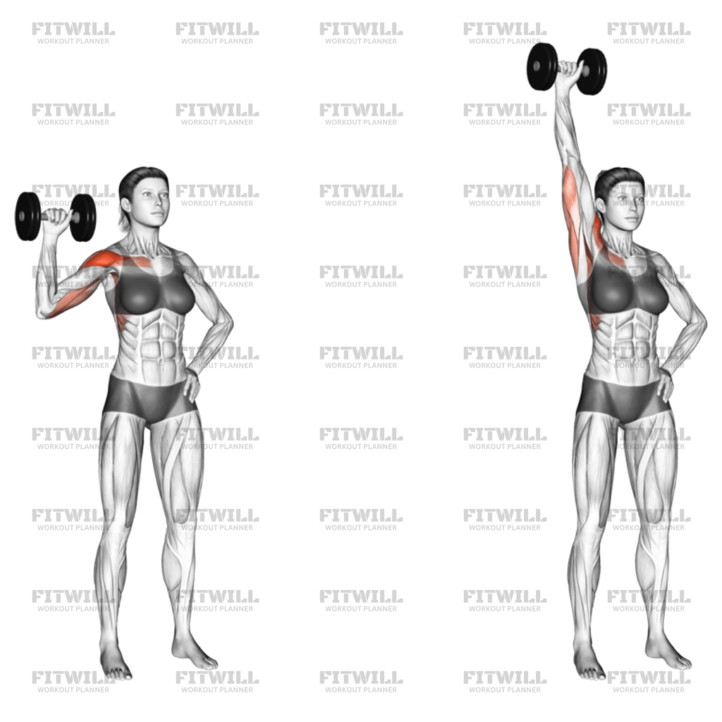 Dumbbell One Arm Shoulder Press (version 2): Exercise Guide, Techniques ...