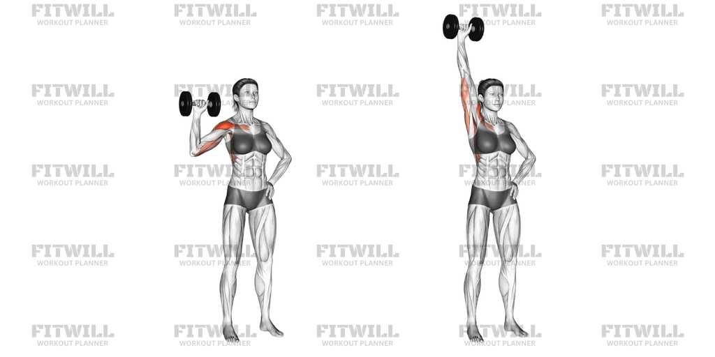 Dumbbell One Arm Shoulder Press (version 2): Exercise Guide, Techniques ...