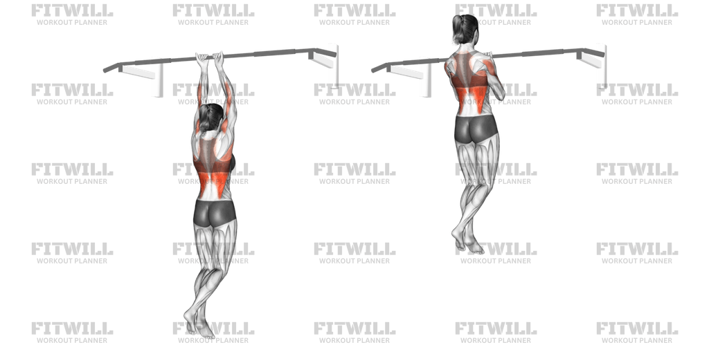 Close-Grip Chin-Up: Exercise Guide, Video, Techniques, Benefits, How to ...