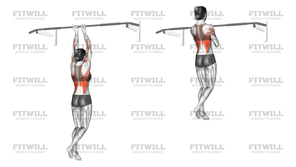 Close-Grip Chin-Up: Exercise Guide, Video, Techniques, Benefits, How to ...