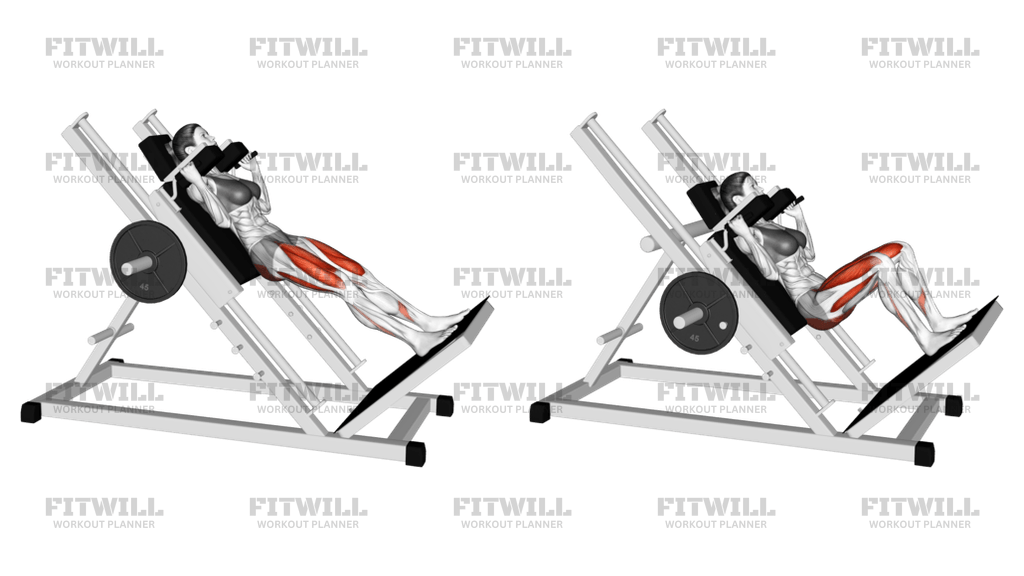 Sled Hack Squat: Exercise Guide, Video, Techniques, Benefits, How to ...