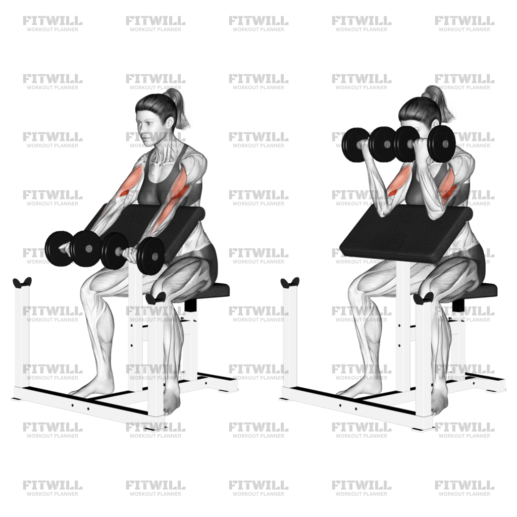 Dumbbell Preacher Curl: Exercise Guide, Video, Techniques, Benefits ...