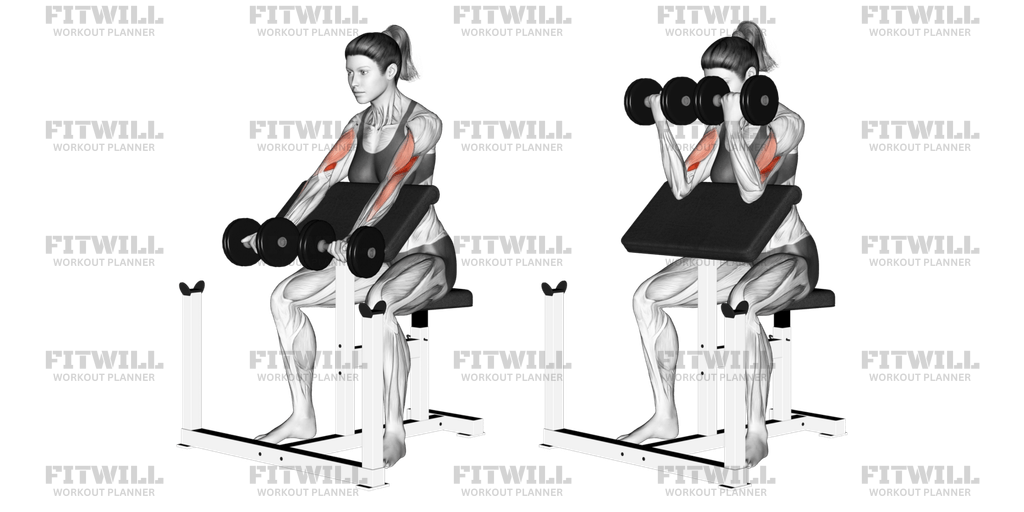 Dumbbell Preacher Curl: Exercise Guide, Video, Techniques, Benefits ...