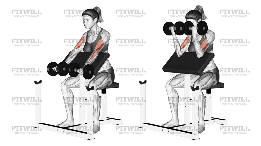 Dumbbell Preacher Curl: Exercise Guide, Video, Techniques, Benefits ...