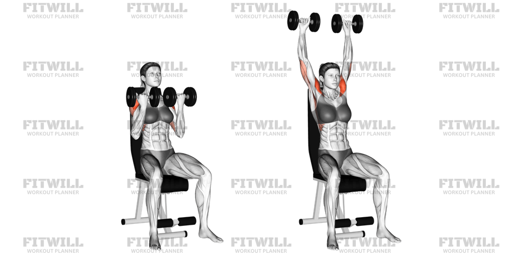 Dumbbell Arnold Press: Exercise Guide, Video, Techniques, Benefits, How ...