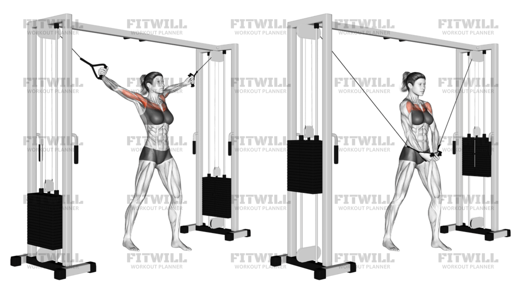 Cable Standing Up Straight Crossovers: Exercise Guide, Video ...