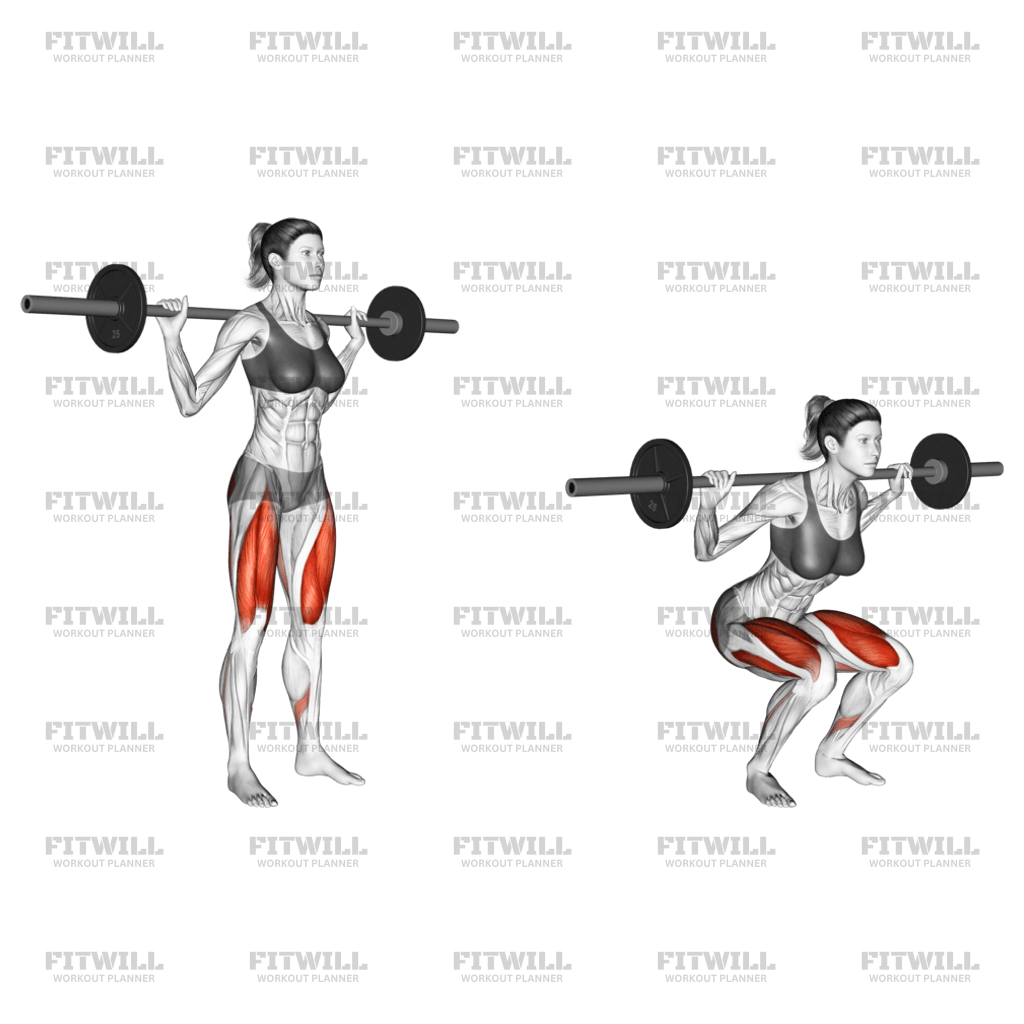 Barbell Narrow Stance Squat: Exercise Guide, Video, Techniques ...
