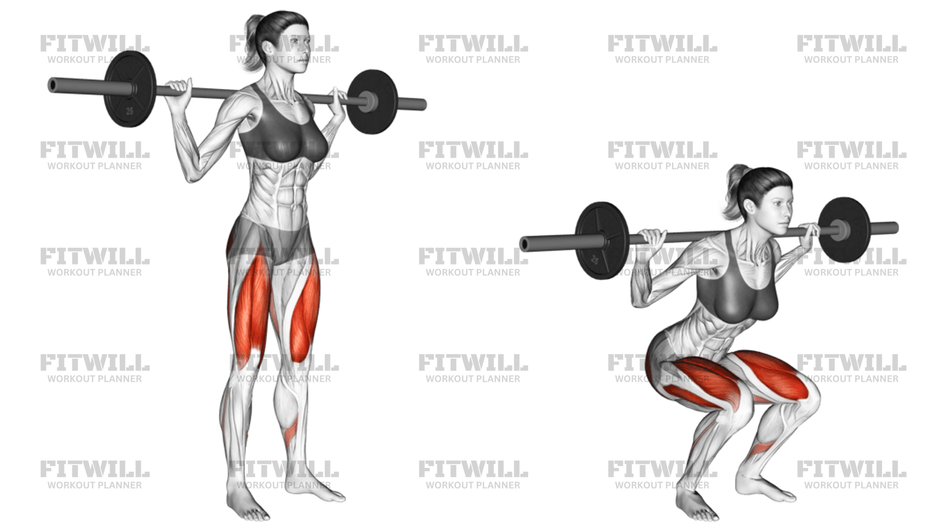 Barbell Narrow Stance Squat: Exercise Guide, Video, Techniques, Benefits, How to, Muscles Worked ...