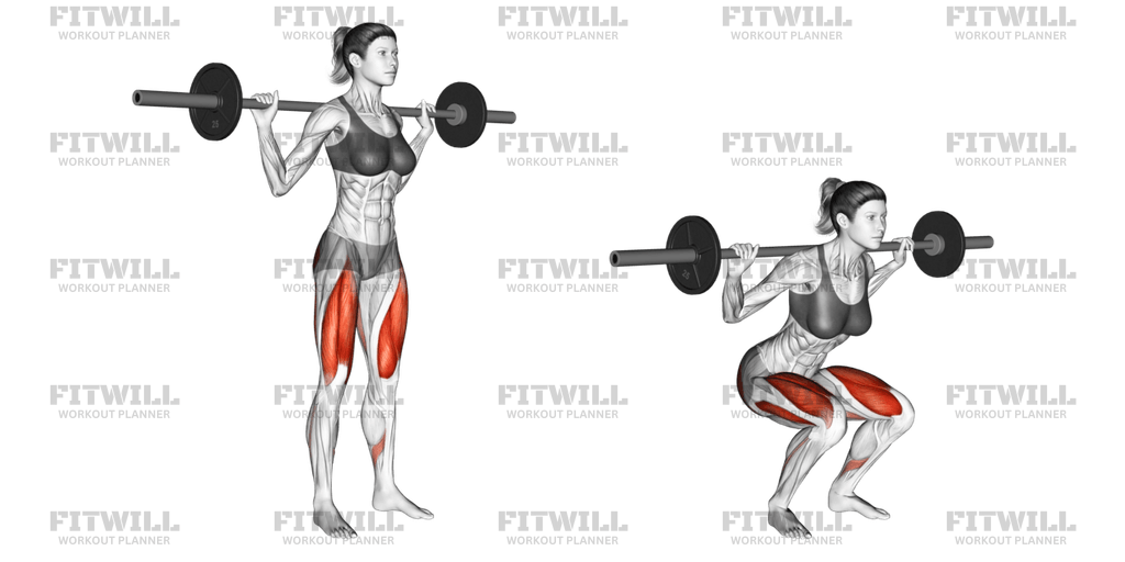Barbell Narrow Stance Squat: Exercise Guide, Video, Techniques ...