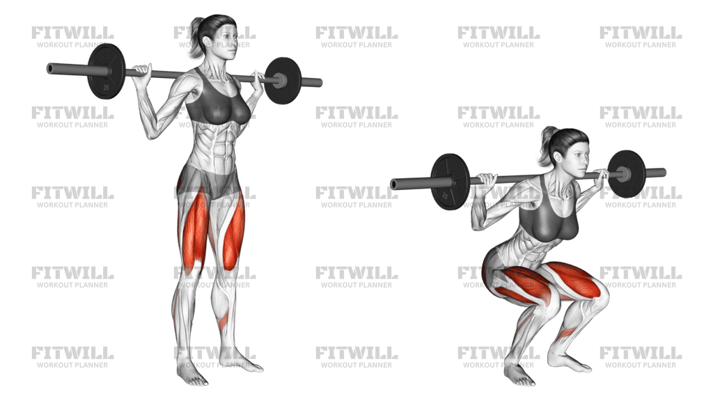 Barbell Narrow Stance Squat: Exercise Guide, Video, Techniques ...