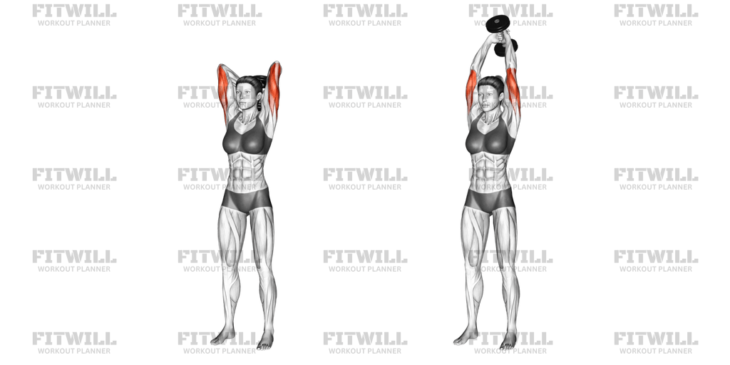 Dumbbell Standing Triceps Extension: Exercise Guide, Video, Techniques ...