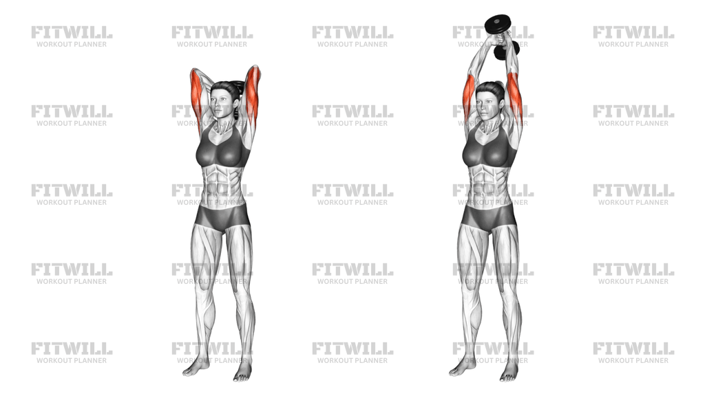Dumbbell Standing Triceps Extension: Exercise Guide, Video, Techniques ...