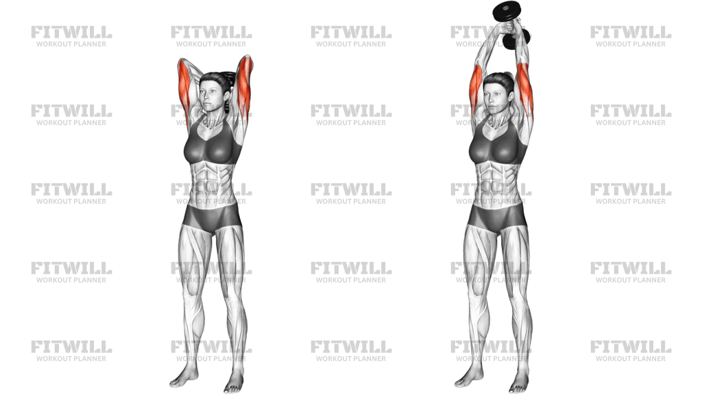 How to do Dumbbell Standing Triceps Extension: Techniques, Benefits ...