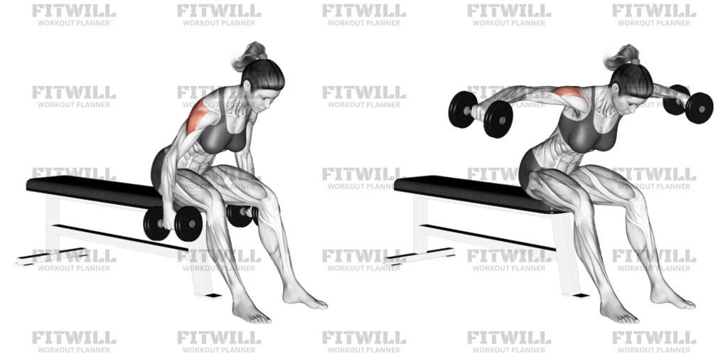 Dumbbell Rear Fly: Exercise Guide, Video, Techniques, Benefits, How to ...