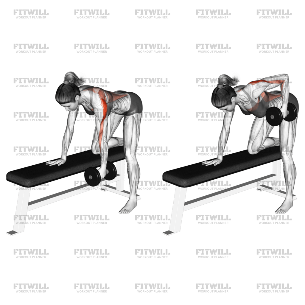 Dumbbell One Arm Bent Over Row: Exercise Guide, Video, Techniques ...