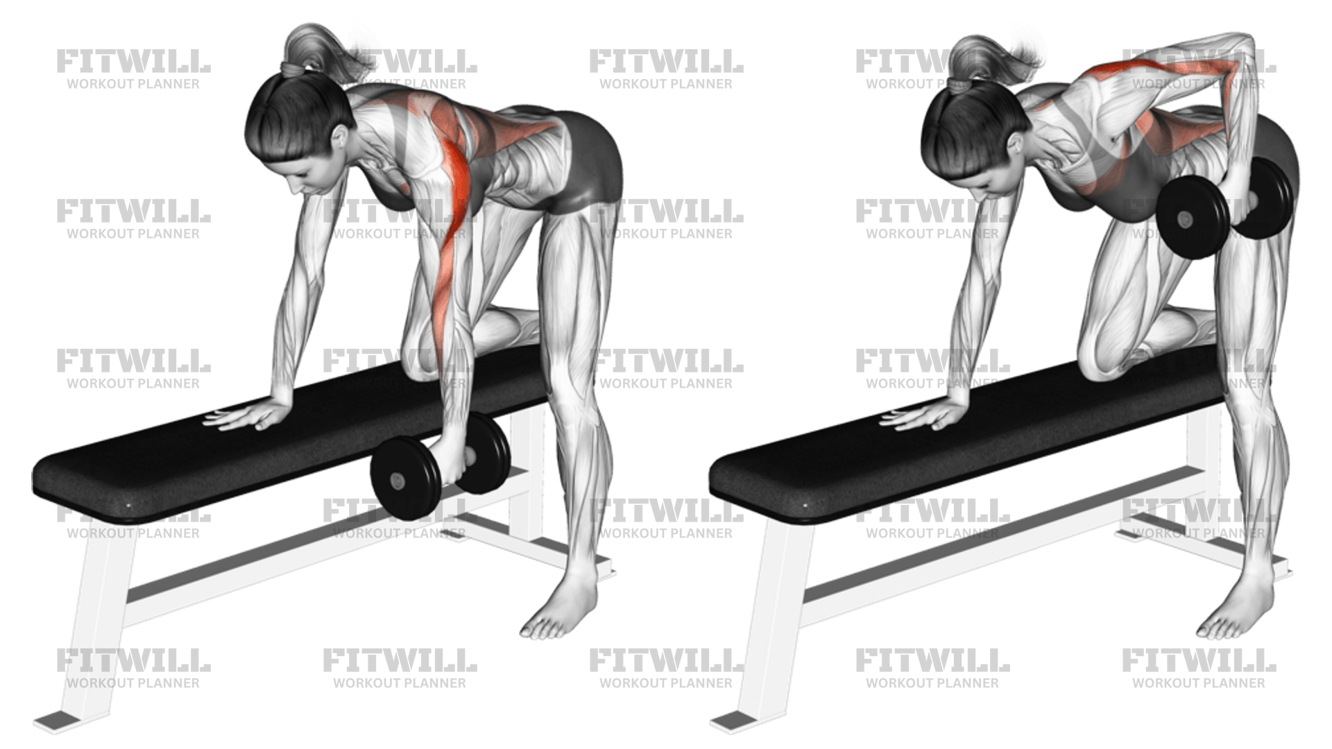 Dumbbell One Arm Bent Over Row: Exercise Guide, Video, Techniques ...