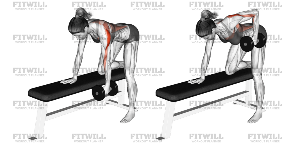 Dumbbell One Arm Bent Over Row: Exercise Guide, Video, Techniques ...