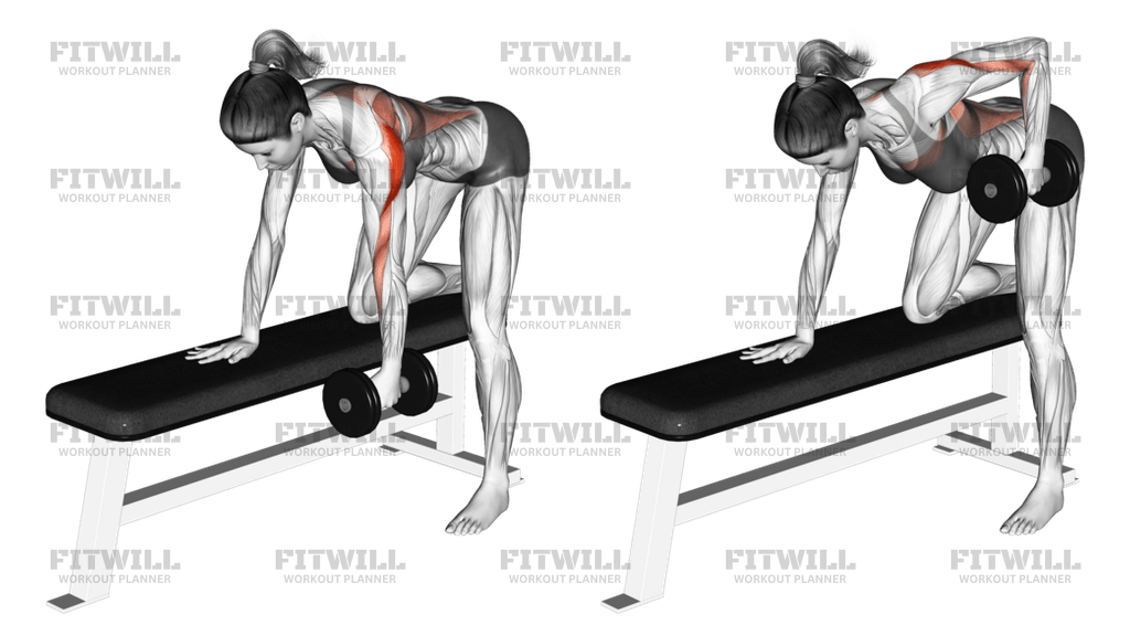 How to do Dumbbell One Arm Bent over Row: Techniques, Benefits, Tips ...