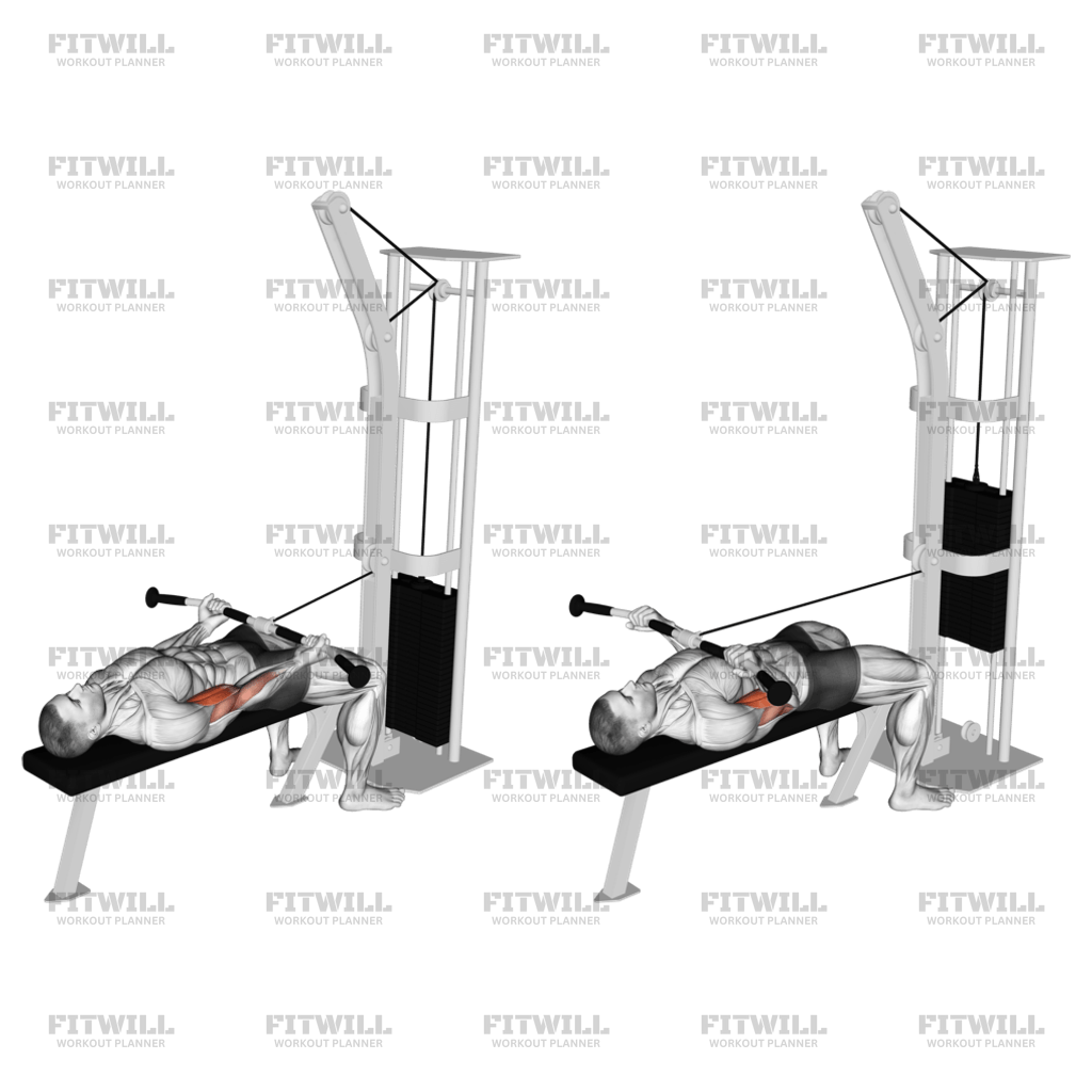 Cable Lying Biceps Curl (VERSION 2): Exercise Video | Fitwill