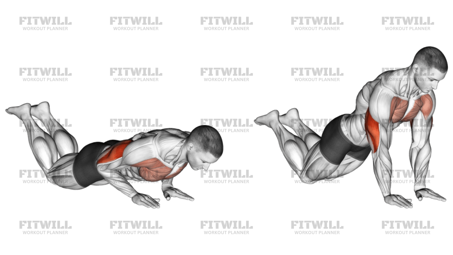 Flexión De Brazos Con Agarre Cerrado (de Rodillas): Guía de Ejercicios ...