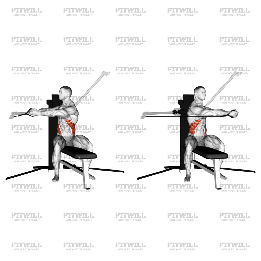 Cable Seated Twist: Exercise Guide, Techniques, Benefits, How to ...