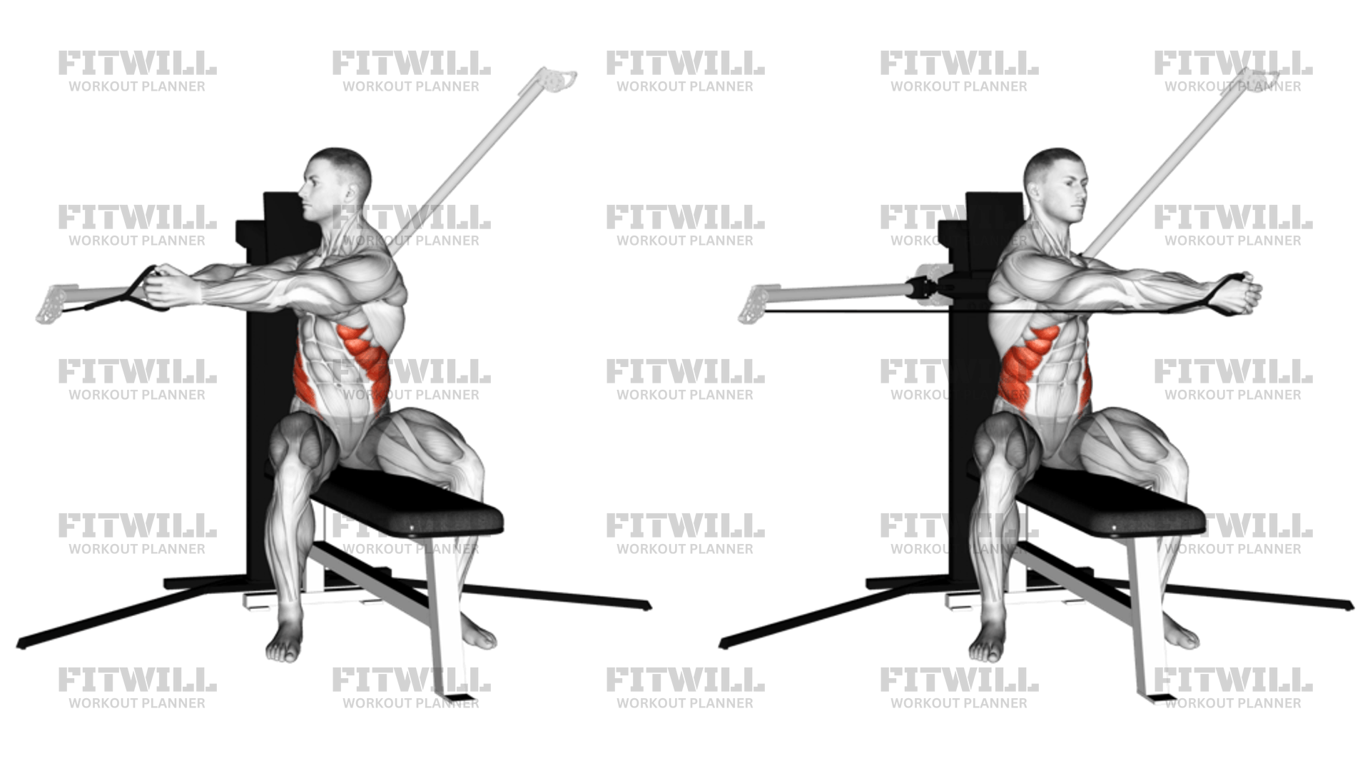 Torção Sentada Com Cabo: Guia de Exercícios, Técnicas, Benefícios, Como ...