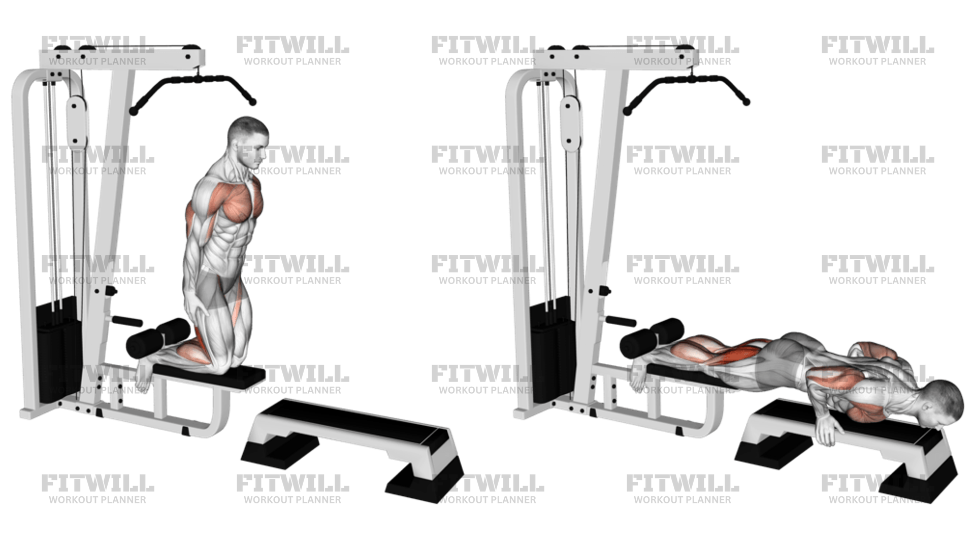 Inverse Leg Curl (on Pull Up Cable Machine): Exercise Guide, Video ...