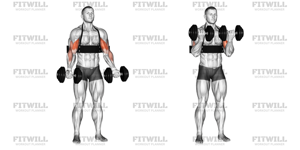 Dumbbell Biceps Curl (with Arm Blaster): Exercise Guide, Techniques ...