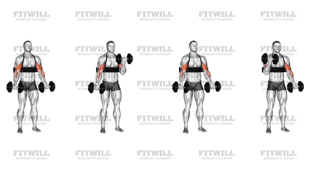 Rosca Alternada Com Halteres (com Suporte De Braço): Guia de Exercícios ...