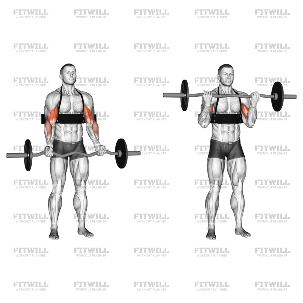 EZ-bar Biceps Curl (with Arm Blaster): Exercise Guide, Techniques ...