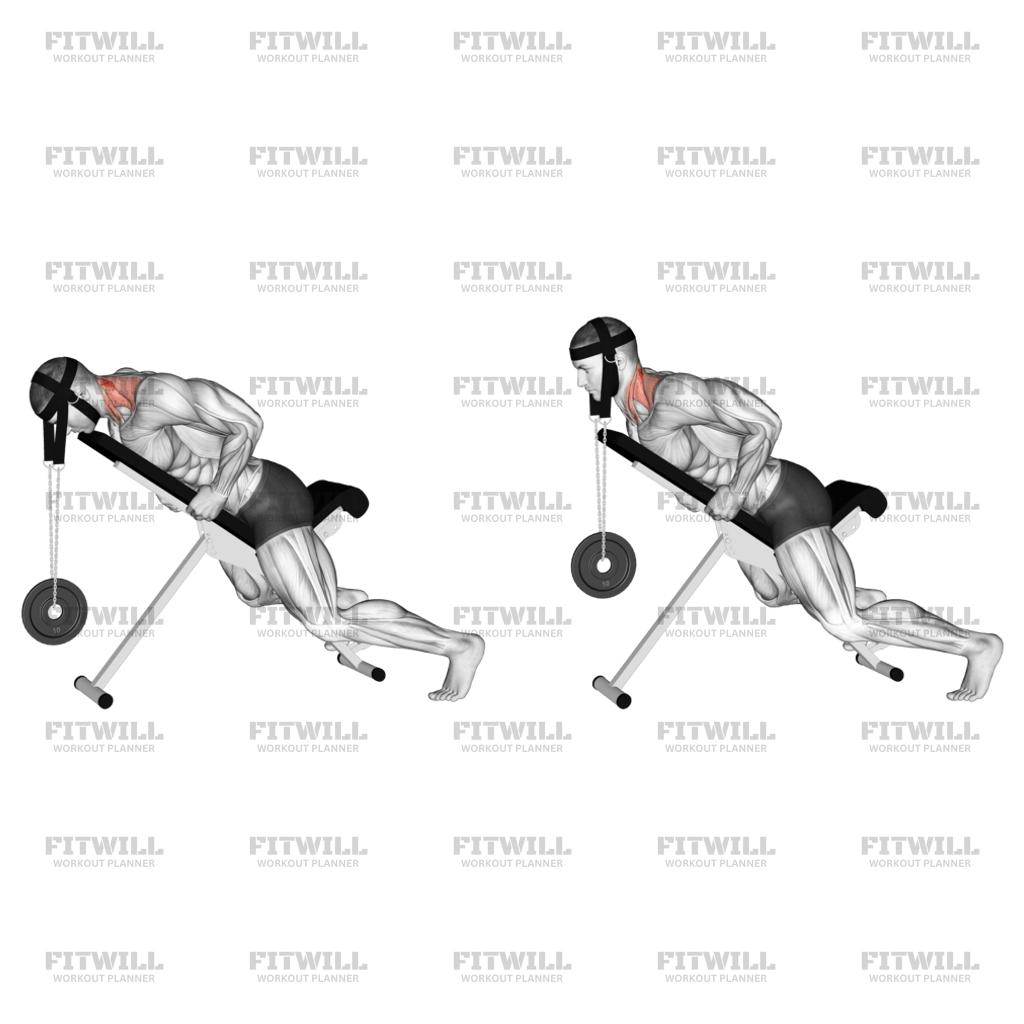 Weighted Lying Neck Extension (with Head Harness): Exercise Guide ...