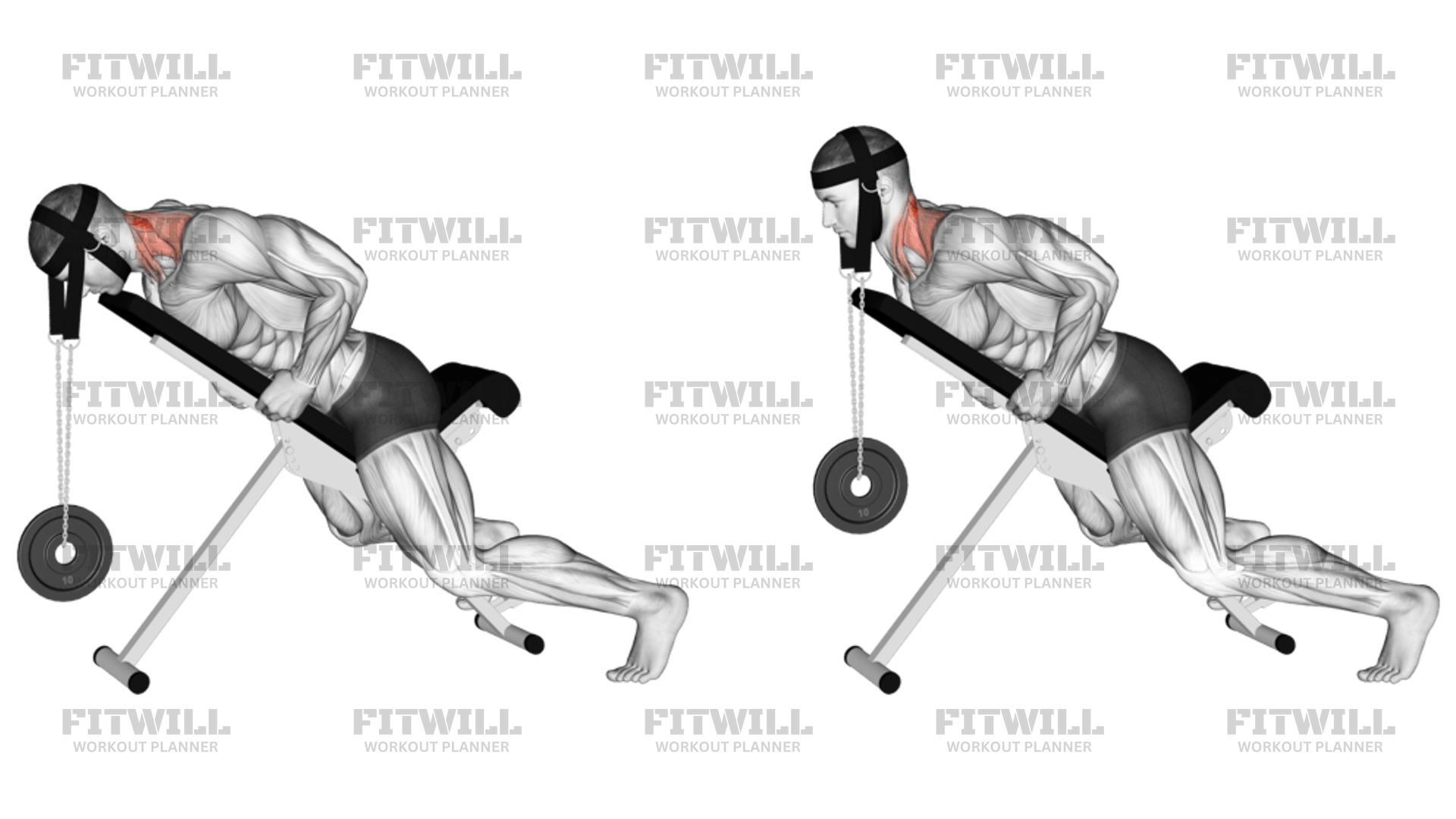 Weighted Lying Neck Extension (with Head Harness): Exercise Guide ...